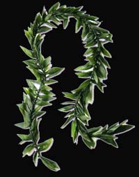 Examples of All Ways Maui'd Weddings Leis, Bouquets & Circles of Flowers